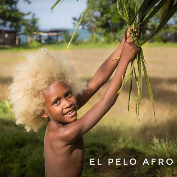 ¿POR QUÉ EL CABELLO ES RIZADO? - Herencia Rizada